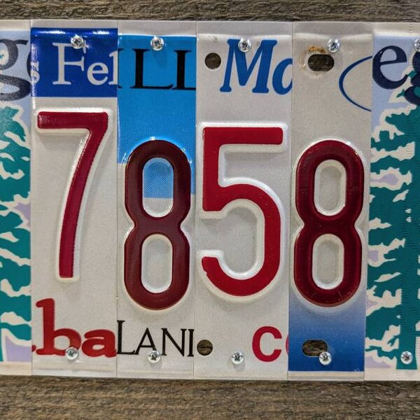 Custom College Name License Plate Sign Unique 2024 Graduation Gift Idea ...