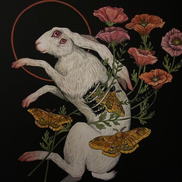 White Rabbit With Poppy Flowers Giclee Print From Original Hand ...