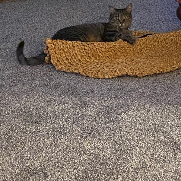 Rag Rug, Multi-colored Rag Rug, 28.5" Crocheted Round Rag Rug, Cottage ...