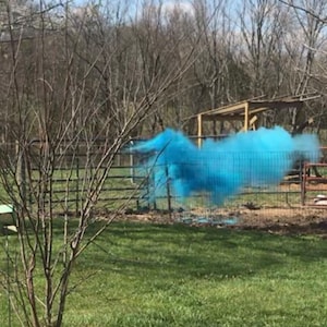 XL Shooting Target Gender Reveal, Skeet Shooting Targets, XL Hanging ...