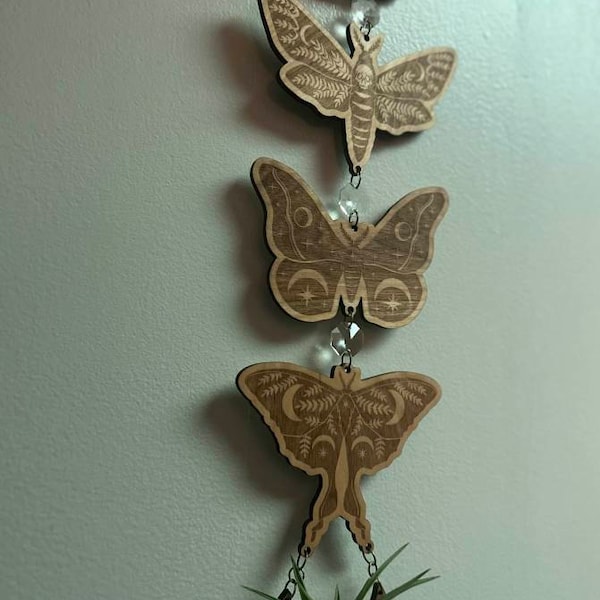 Celestial Moth Airplant Holder Fridge Magnet Hanger Stars Moon Home ...