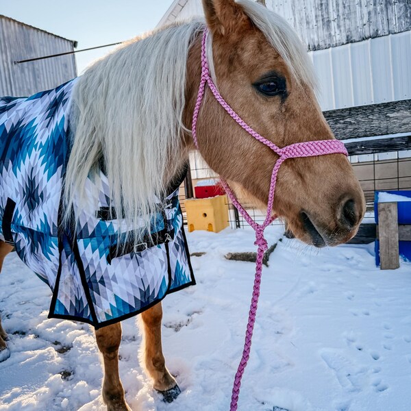 4-knot Rope Halter Only - Assorted Colors - Newborn/foal/mini/yearling ...