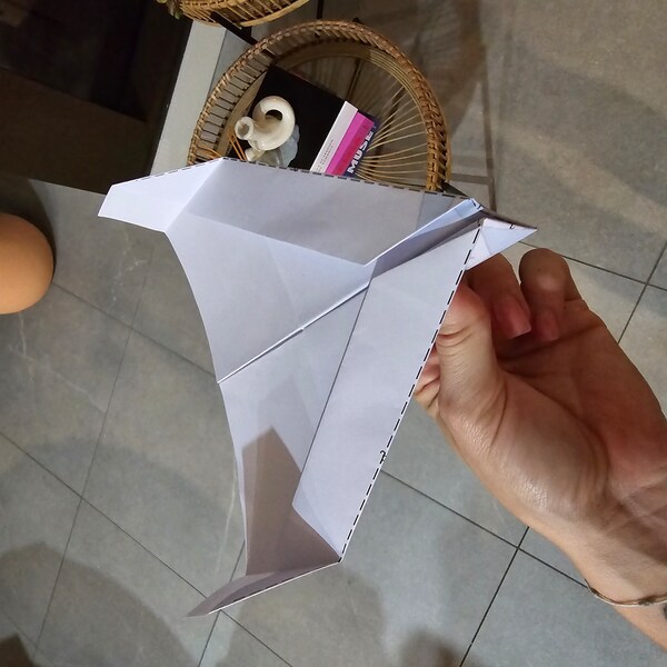 Premium DIY Paper Plane Kit: the Glider - Effortless & Graceful! - Etsy