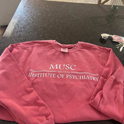 Everything is Under CTRL Comfort Colors Shirt, Computer Programmer T-shirt, Computer Science ...