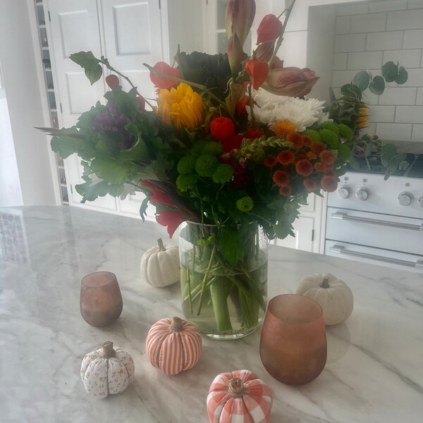 Dog Training Business Templates Editable Behavior Guide and Puppy ...