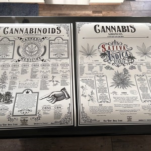 18 X 24 Inch Cannabinoids Cannabis Education Poster - Etsy