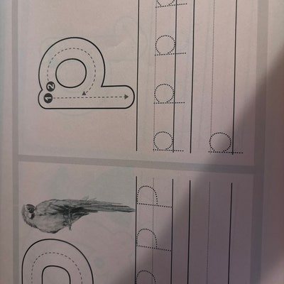 Tracing Font Teacher Font, Student Fonts, Handwriting Fonts ...