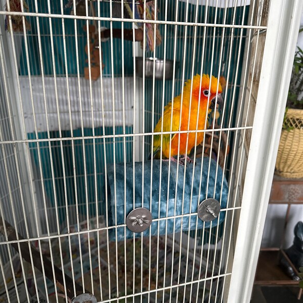 Custom Cozy Bird Tent Comfy Parrot Hut Pet Bird Bed Accessory Handmade ...