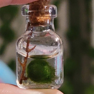 Luminous Terrarium Decor Bonsai Alien Fairy Garden Miniature Micro ...