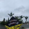 Case Closed Graduation Cap Topper, Funny Criminal Justice Grad Cap ...