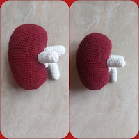 Anatomical Kidney Crochet Pattern! PATTERN ONLY Instant DOWNLOAD ...