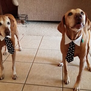 Burda 6074 Vintage Pattern | Etsy