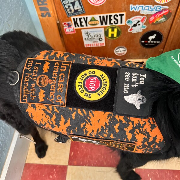 Nervous Dog Patch | Ask to Pet Patch | Dog Vest Patches | Hook Fastener ...