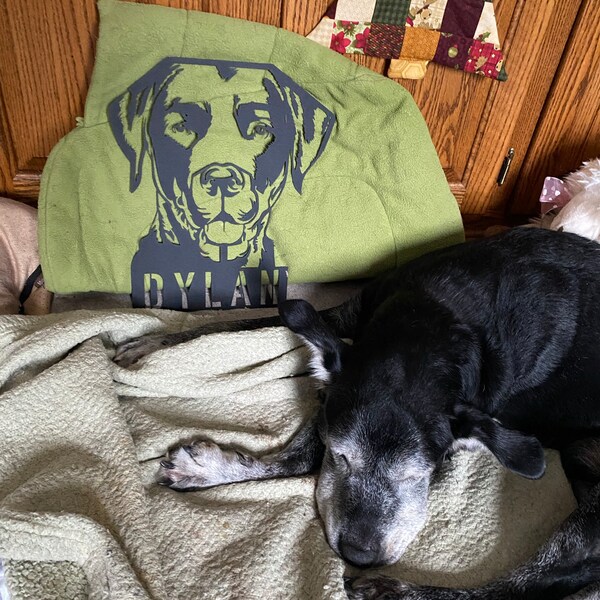 Metal Labrador Retriever Sign, Labrador Retriever Sign, Metal Dog Sign ...