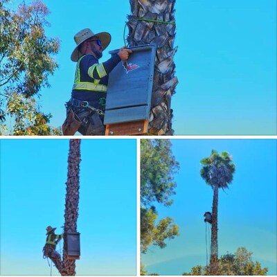 Rustic Wood Warbler House free Shipping - Etsy