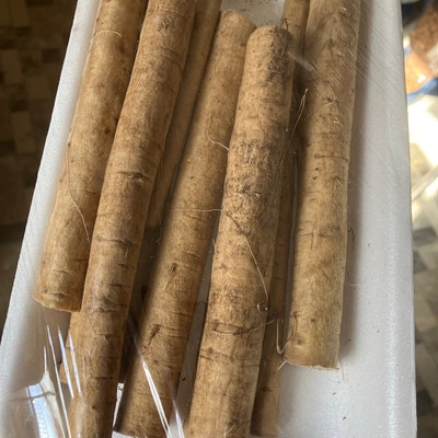 Clemson Spineless Okra Seeds, Non GMO Heirloom USA Southern Ochro Okro ...