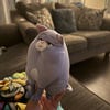 Ty Beanie Boo “tauri” the Calico Cat (6 Inch) - Etsy