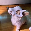 Cubone Dog Mask / Dinosaur Mask / Dog Costume / Funny Dog Gift / 3D ...