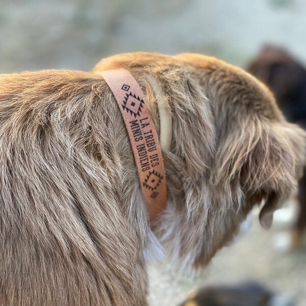 Dog Neck Band With Name. Custom Pet ID. Engraved Dog Collar. Custom Cat ...