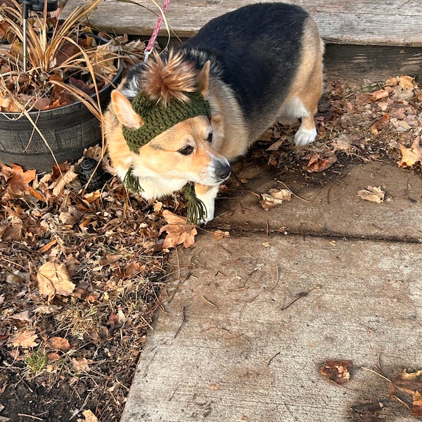 Corgi Beanie Dog Beanie Corgi Hats Dog Hat Dog Beanie Fur Baby Beanies ...