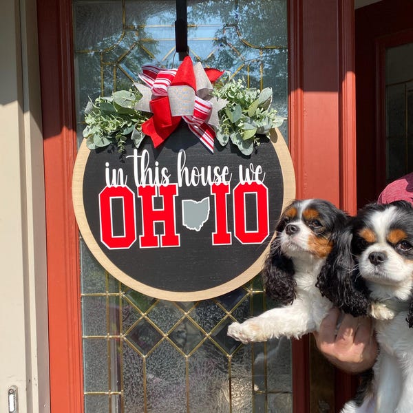 Ohio State Door Hanger | Ohio State Buckeyes | Ohio State Wreath ...