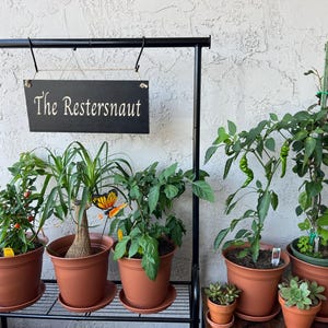 Happy Hour Sign Outdoor Backyard Sign Outdoor Bar Sign Backyard Hanging ...