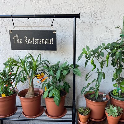 Happy Hour Sign Outdoor Backyard Sign Outdoor Bar Sign Backyard Hanging ...