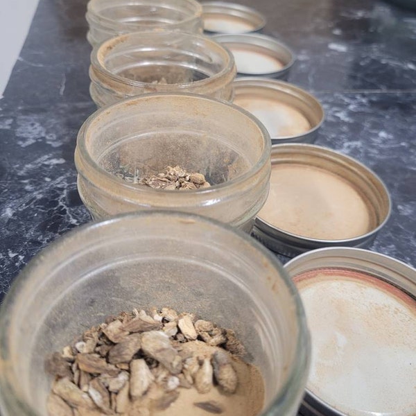 Prickly Pear Nopal Cactus Powder, Wildcrafted Nopales - Etsy