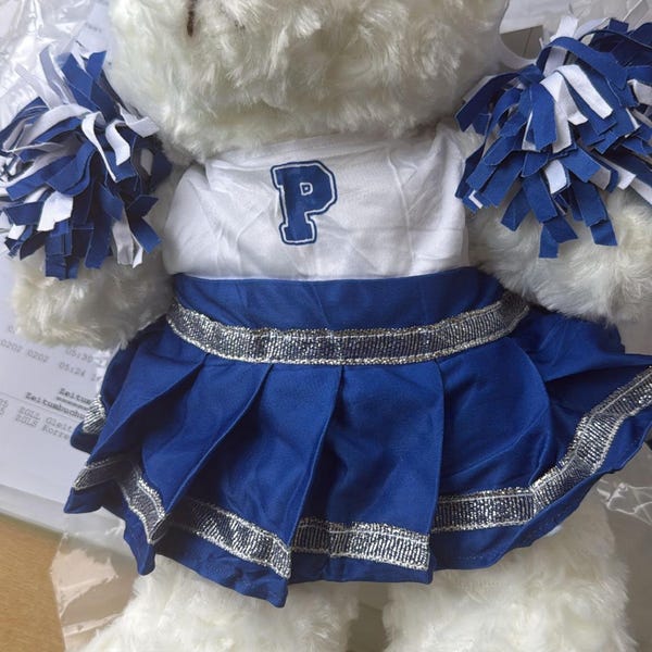 Personalized Cheerleading Plush Bear, Custom All-star Cheer Bears ...