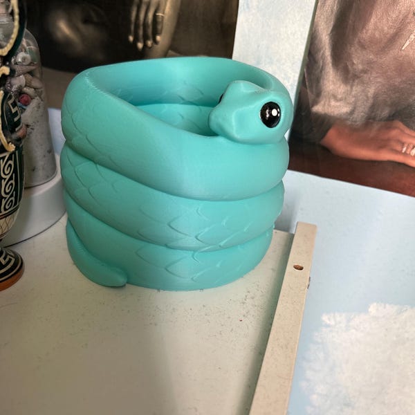 Snake Planter - Snake Plant Pot With Drainage - Cute Snake Planter ...