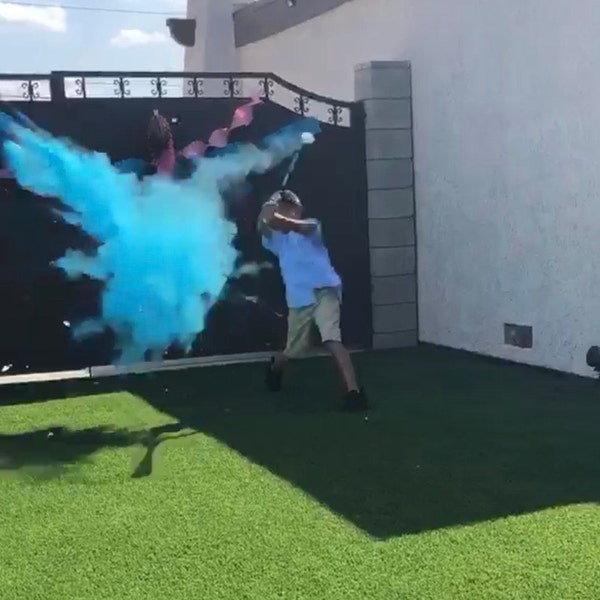 Gender Reveal Baseball! Gender Reveal Baseballs in Pink or Blue Filled ...
