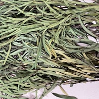 Fresh Leather Leaf Fern baker Fern Bunches free Shipping - Etsy