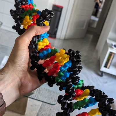 Realistic DNA Model 3d-printed - Etsy