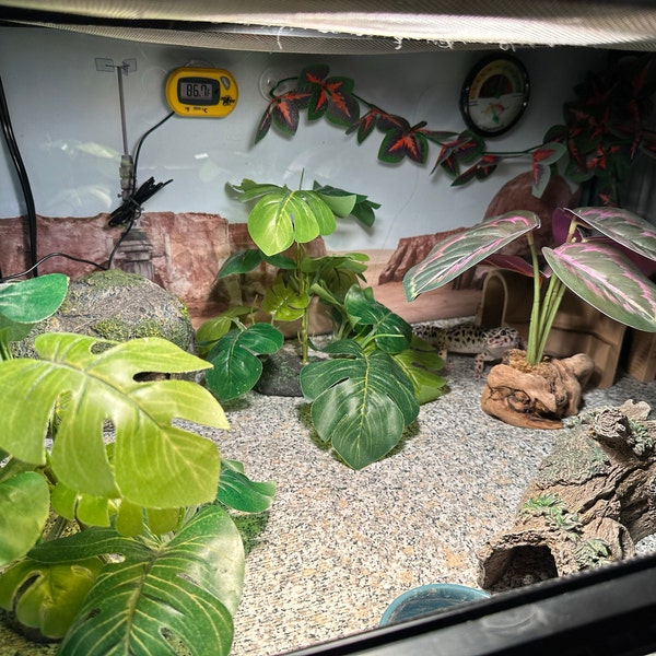 Movie Set Standard Terrarium Background - Etsy