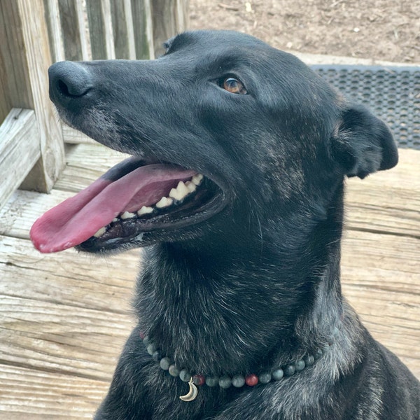 Custom Dog Collar, Crystal Cat Collar, Crescent Moon, Reiki Jewelry ...