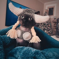 Brunhilde Vikings Valkyries Wagner Opera Hats for Cats - Etsy Canada