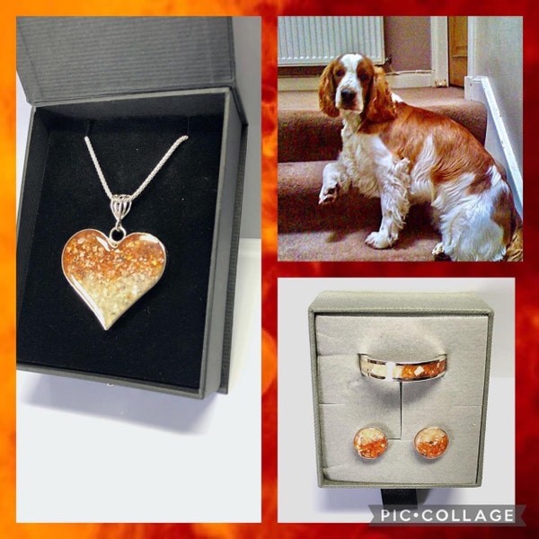 Cremation Ashes Memorial Dog Paw Cat Paw Necklace. Keepsake Jewelry ...