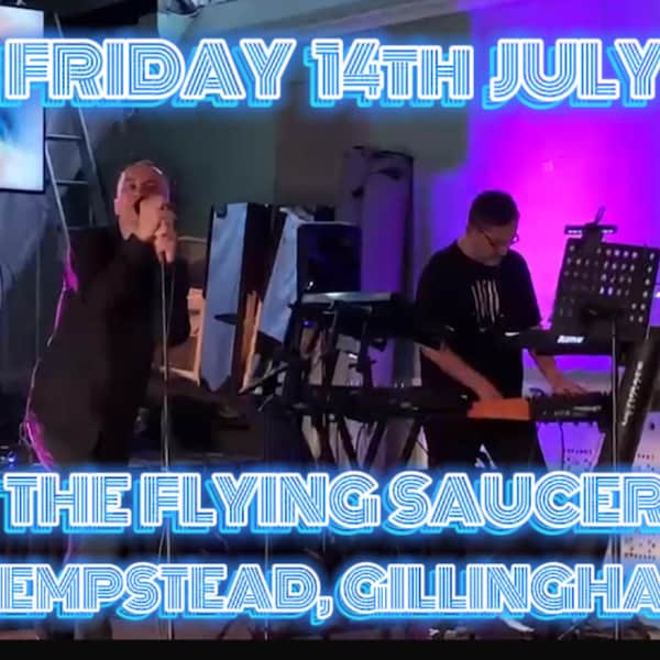 Permanent Wall Decal, Fox Vinyl Sticker, Funky Die Cut, Wall Sticker ...