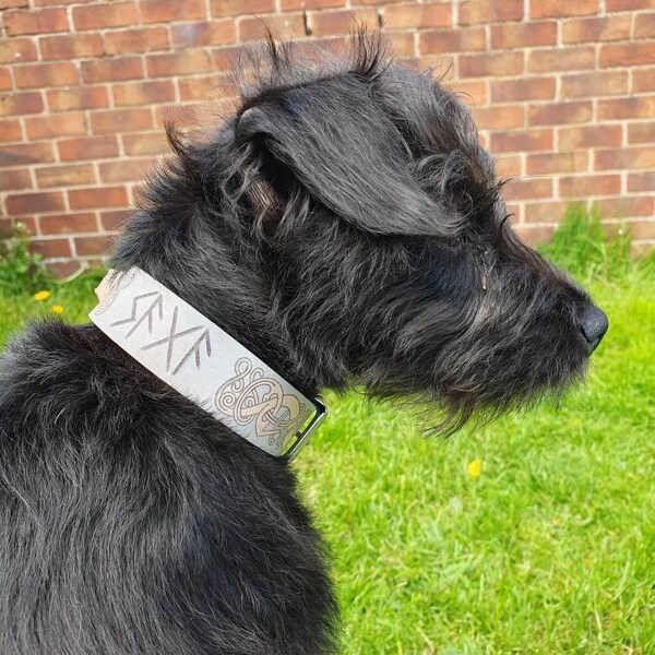 Leather Norse Celtic Dog Collar - Custom - Personalized - Handmade - Etsy