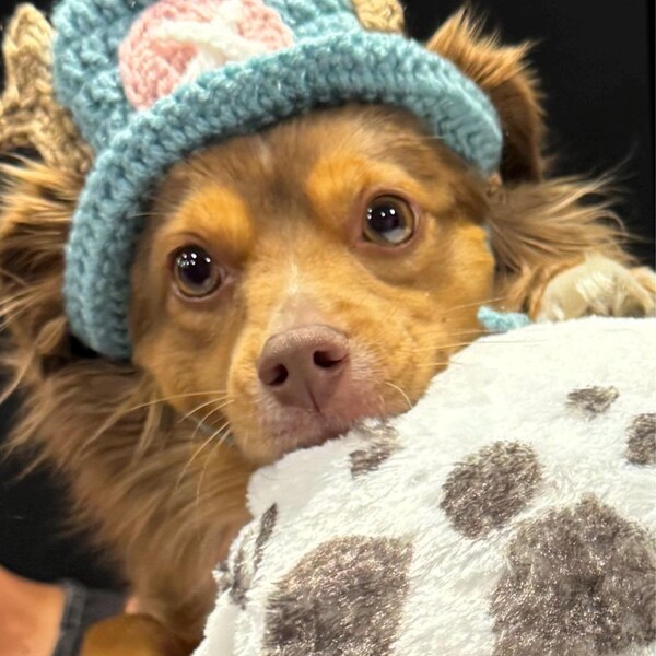 One Piece Anime Handmade Crochet Hat Tony Chopper Blue & Pink Hat ...