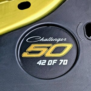 Pontiac GTO Hell Goat Decals - Etsy