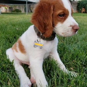 Rustic Dog ID Tag Hand Stamped Personalized Dog Bone ID Dog Name Tag ...