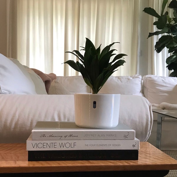 LECA Pots Self Watering Planter for Houseplants 5.5 Inch 3-pack ...