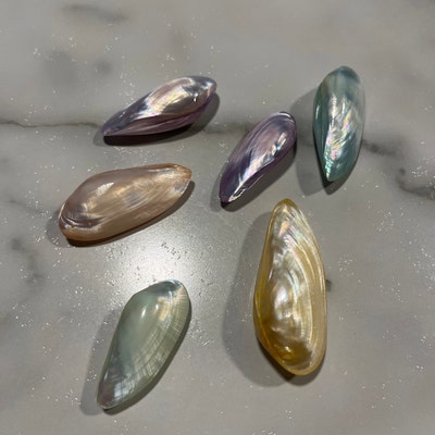 Pink Florida Conch Shell Coastal Home Decor Seashells Seashell Supply ...