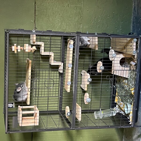 Crazy Critter 11 Pc Kiln Dried Pine Chinchilla//rat//degu//squirrel ...