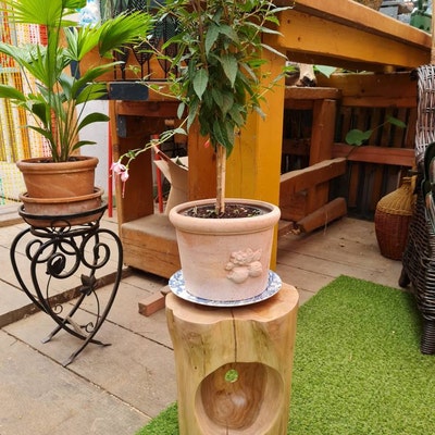 Side Table Solid Wood Teak Tree Trunk Living Room Couch Coffee Table ...