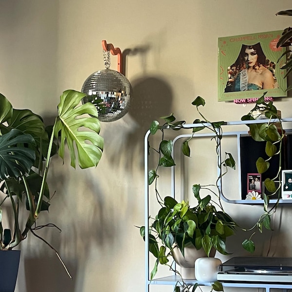 Wavy Plant Hook - Squiggle Plant Hanger - Colorful Wall Hook ...