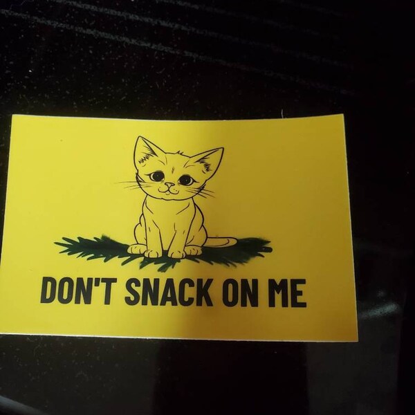 USVI Virgin Islands Caribbean Flag St Thomas Saint John St Croix ...