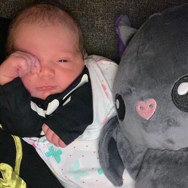 Custom Bat Plush - Halloween Bat Softie - Embroidered Stuffed Animal ...