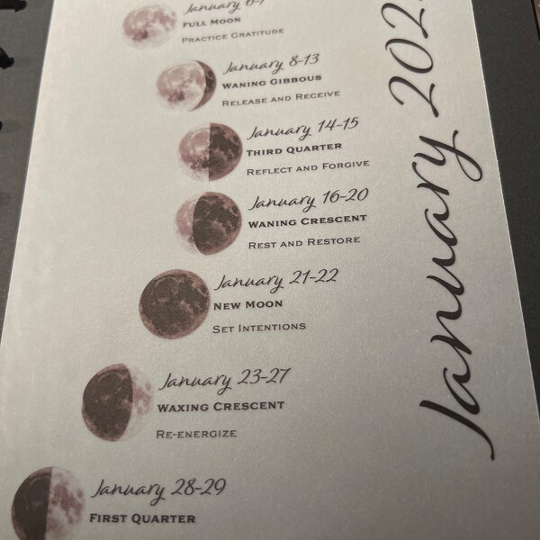 Monthly Floral Dashboards Pocket Size - Etsy